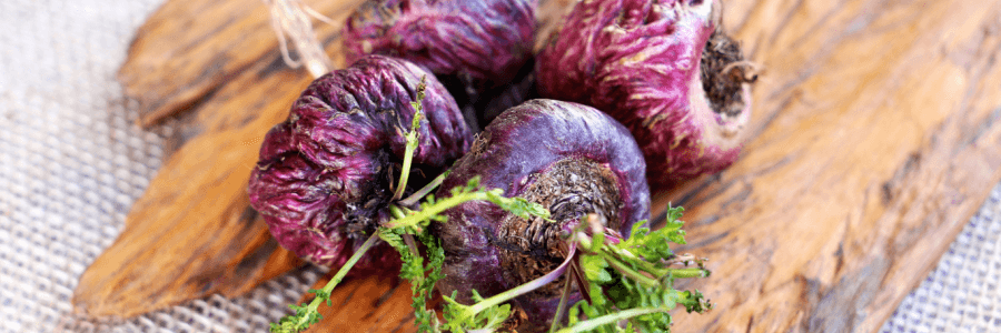 Red Maca Root: History, Potential Benefits & Nutrition Guide | Maju ...